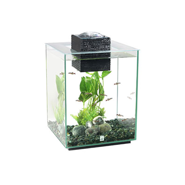 fluval-chi - Waterworld Aquatics