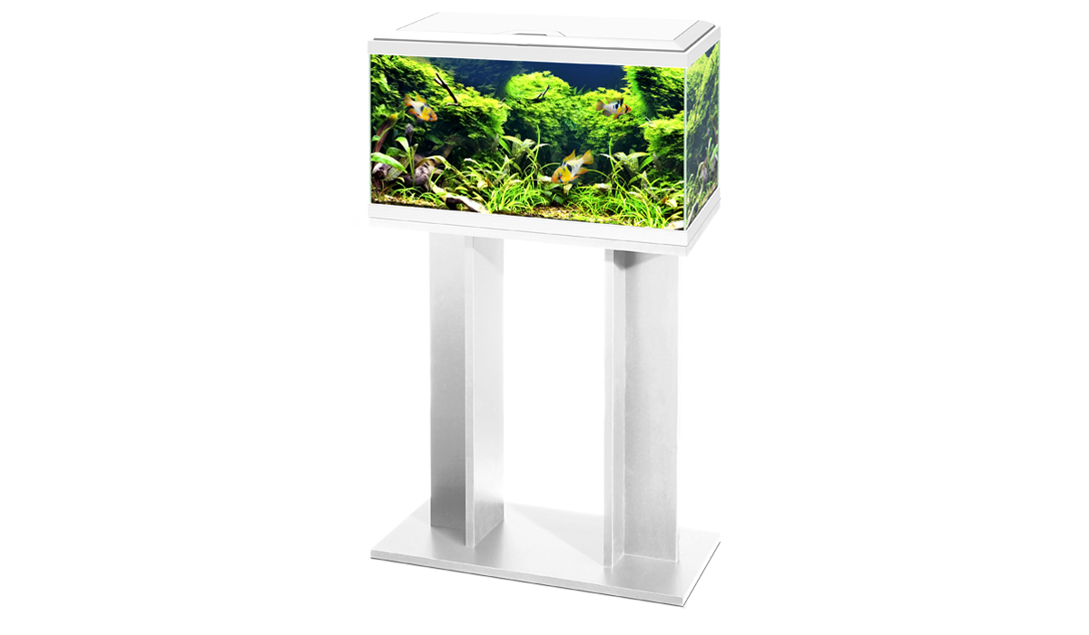 Ciano - Aqua 60 White LED - Waterworld Aquatics