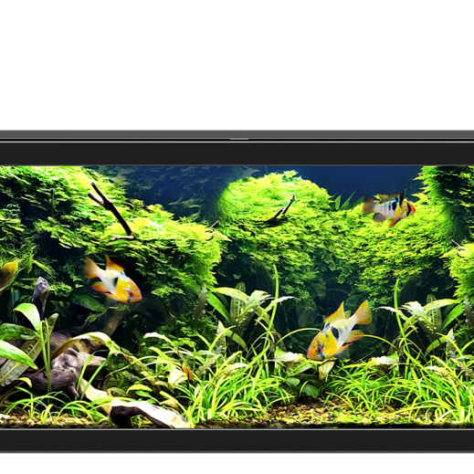 Ciano - Aqua 60 Black LED - Waterworld Aquatics