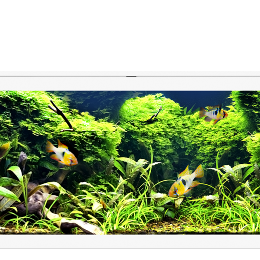 Ciano - Aqua 60 White LED - Waterworld Aquatics