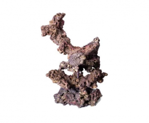 CaribSea Life Rock Reef Tree - Waterworld Aquatics